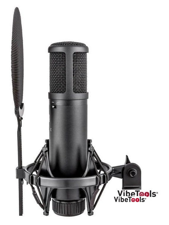 Buy sE Electronics sE2200 Studio Condenser Cardioid Microphone ...